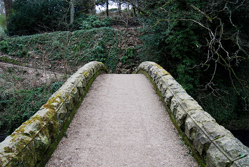 New Blog | American Vagrant